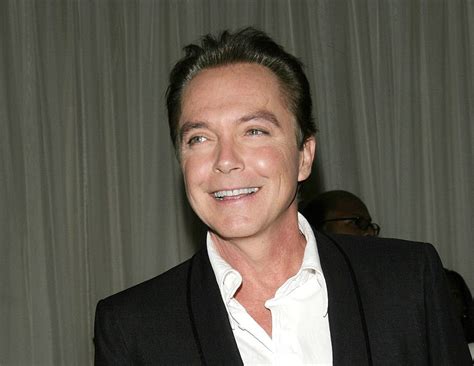David Cassidy Hd Wallpaper Pxfuel