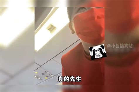 盘点那些社牛的人类！