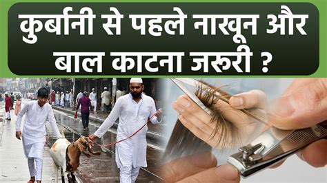 Bakrid 2023 बकरीद में कुर्बानी से पहले नाखून बाल काटना चाहिए Qurbani
