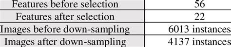 number of features and instances download scientific diagram