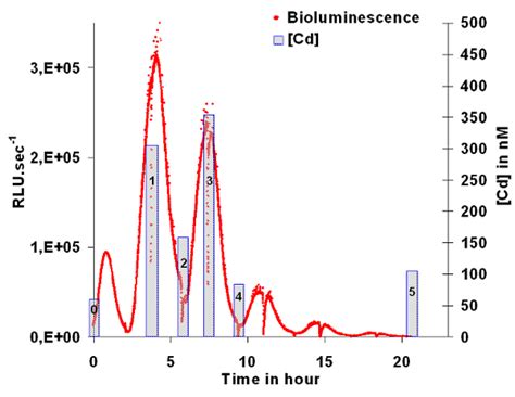 Bacterial Bioluminescent Biosensor Characterisation For On Line Monitoring Of Heavy Metals