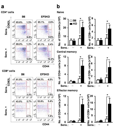 Draining Lymph Nodes Were Collected The Mice Of 5 Days After The Dnfb