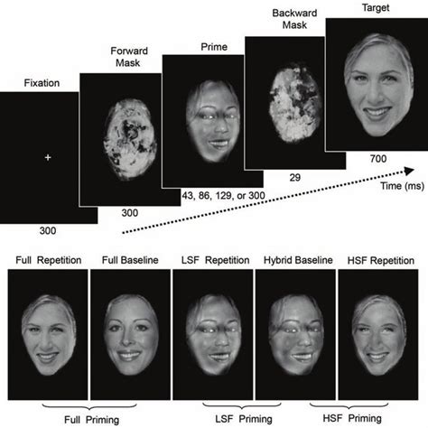 Pdf How Spatial Frequencies And Visual Awareness Interact During Face Processing