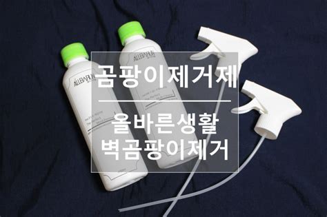 곰팡이제거스프레이 올바른생활 성분 착하고 세정력은 강한 다목적세정제 주부 필수품이야 네이버 블로그
