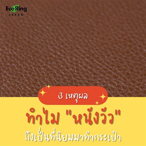 ทำไมหนังวัวถึงเป็นที่นิยมทำกระเป๋าแบรนด์เนม Eco Ring Thailand รับซื้อ