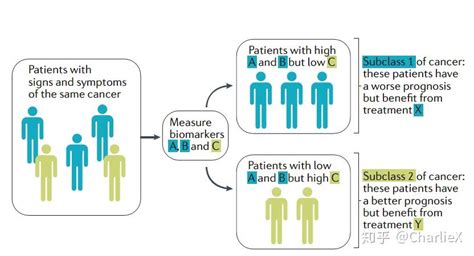 肿瘤异质性与精准诊疗 知乎