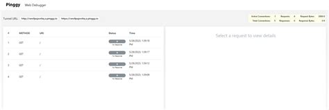 Simplifying Traffic Inspection With Pinggy