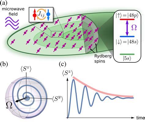 sketch of a dipolar interacting rydberg spin system a in an