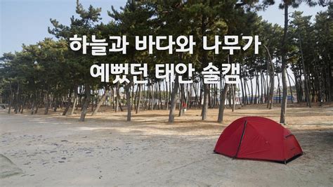 바다와 구름과 나무가 예뻤던 힐링 캠핑 태안 솔캠 Youtube