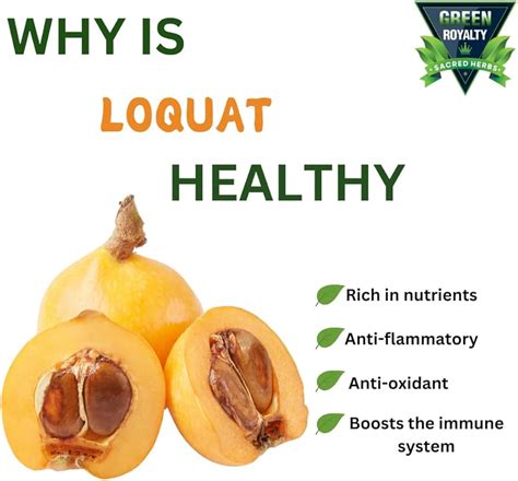 Loquat Fruit Health Benefits Loquat Fruit And Leaves Cambree Notes