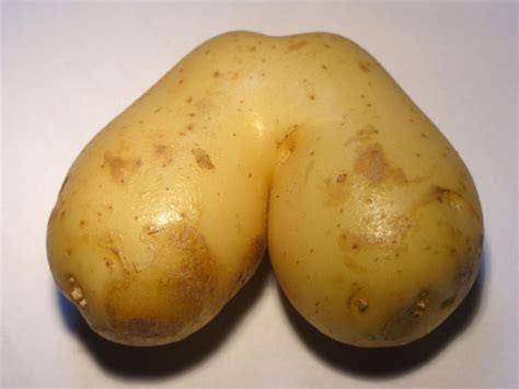 My Attempt On Getting To Front Page On 29th Good Luck Potato Boobs