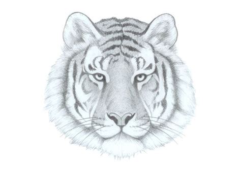 Easy Drawing Tutorials For Beginner And Intermediate Artists In 2022