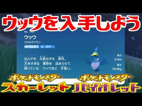 【ポケモンsv】ウッウの出現場所・色違い・種族値など基本情報【スカーレット・バイオレット】 攻略大百科
