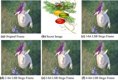 Visual Results Of 1 Bit 2 Bit 3 Bit And 4 Bit Lsb Substitution