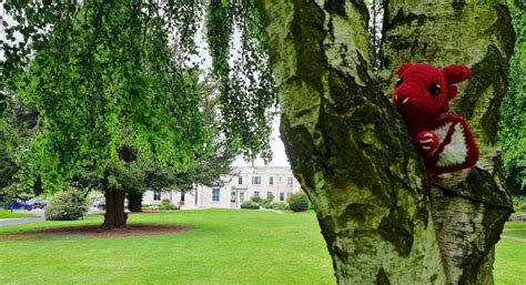 Stuart Bennet Mnaea Posted On Linkedin