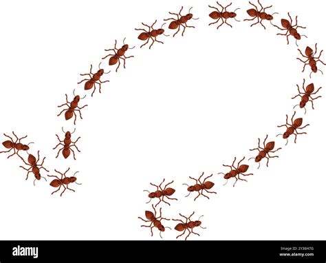 Colony Of Ants Is Forming A Question Mark Shape Stock Vector Image And Art Alamy