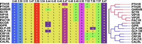 GPCR作動薬による新規の受容体活性化機構を解明細胞内領域を標的とした副作用のない薬剤開発に貢献 テックアイ生命科学