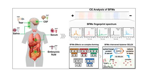 Investigation Of Body Fluids Intervention Impact On Aptamer Screening