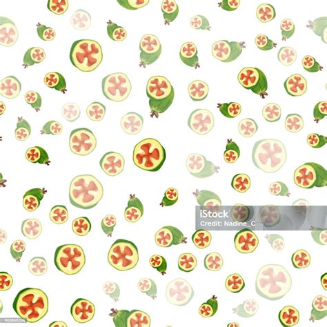 Feijoa Vektor Icon Hand Gezeichnete Skizze Von Exotischen Grünen