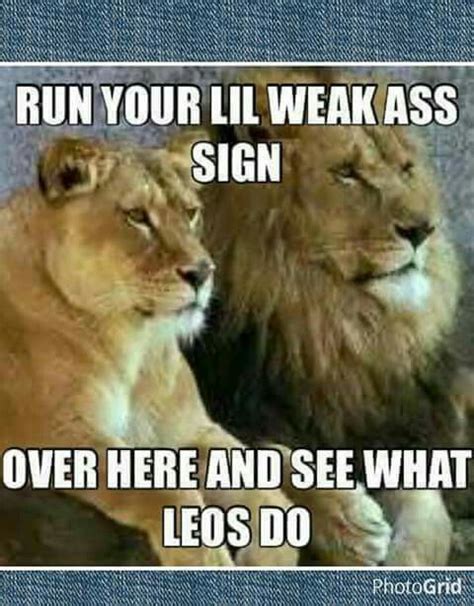 Pin By Melissa Peterson On Leo Pix Leo Zodiac Facts Leo Zodiac