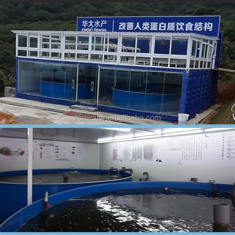 Seawater Rasrecirculating Aquaculture System Solution For Tilapia Fish