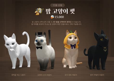 더쿠 로스트아크 고양이 펫 출시