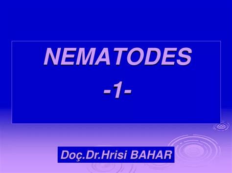 Ppt Nematodes 1 Powerpoint Presentation Free Download Id9406724