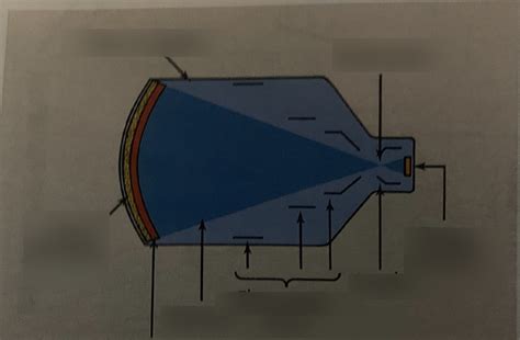 II Labeling Diagram Quizlet