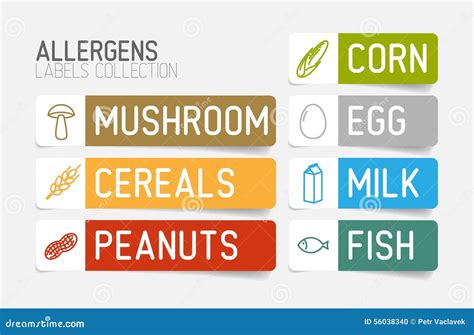 Vector Sticker Set For Allergens Stock Vector Illustration Of Icon