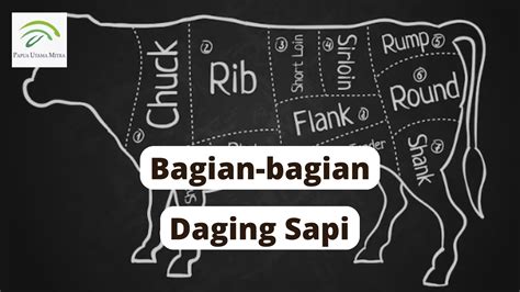 Bagian Bagian Daging Sapi