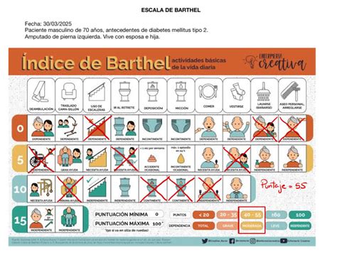 Índice De Barthel 1 Pdf