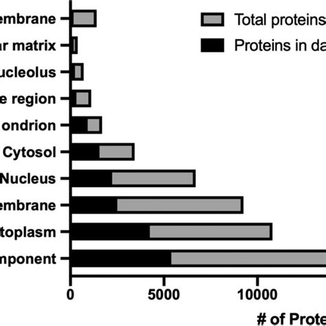 Gene Ontology Go Cellular Component Enrichment For Proteomics