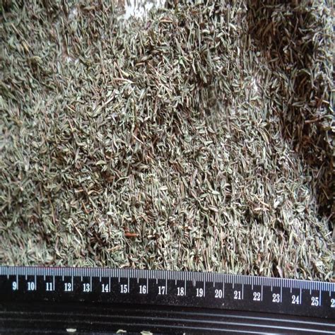 Herbimar Thyme Flagship Products