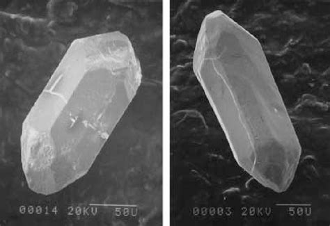 Ab Scanning Electron Microscope Photographs Showing Zircon Download Scientific Diagram