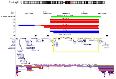 Comparison Of Genomic Overlap For 1q211 Cnvs Cnv Breakpoints Were
