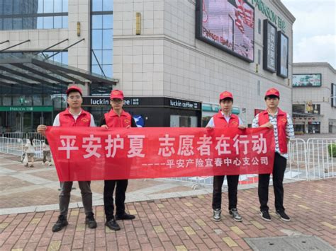 平安产险宜春中支组织开展“平安护夏”志愿服务活动凤凰网江西凤凰网
