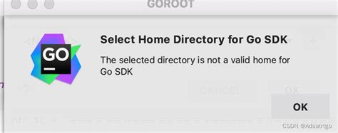 go语言编译文件踩坑 build constraints exclude all go files in csdn博客