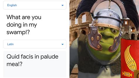 What Are You Doing In My Swamp