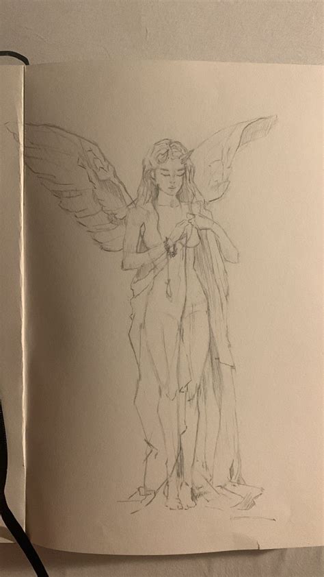 Realistic Moth Drawing