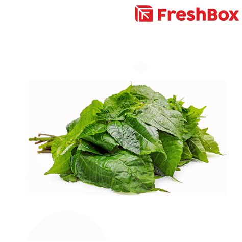 Jual Daun Popohan 500 Gr Freshbox Shopee Indonesia