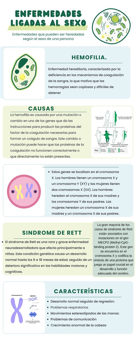 Infografia Enfermedades Ligadas Al Sexo Enfermedades Ligadas Al Sexo