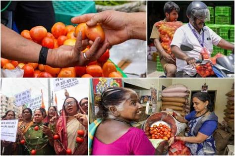 Petrol Is Cheaper Than Tomatoes Price Of This Vegetable Crosses Rs 150