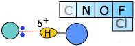 Water And Hydrogen Bonding