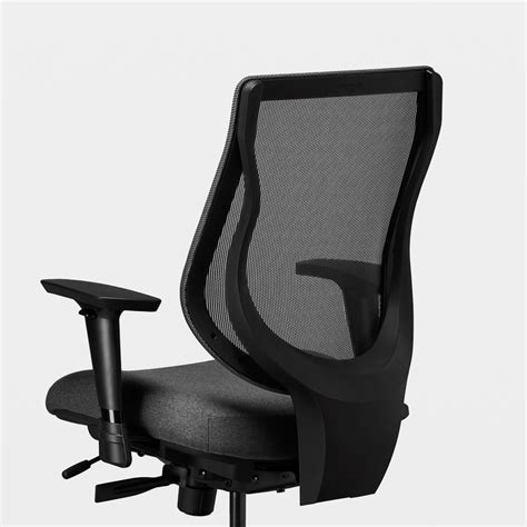Lumbar Support Youtoo Ergonomic Chair Ergonofis