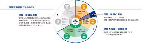 保険証券診断で分かること Aigパートナーズ 公式サイト