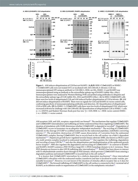 SOLUTION The Role Of Ubiquitination And Hepatocyte Growth Factor Regulated Tyrosine Kinase