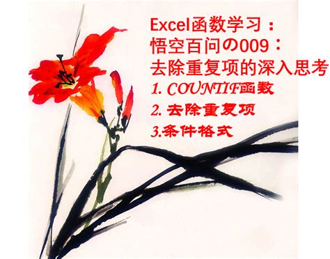 Excel的去除重复项你真的明白原理吗？浅尝去除重复项的函数奥秘 正数办公