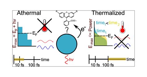 Efficient Plasmon Induced Hot Thermal Carrier Transfer In Plasmonic Metal Oxide Nanoparticles