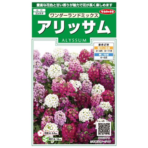 サカタのタネ アリッサム ワンダーランドミックスのタネ 内容量：005ml 日光種苗ヤフー店 通販 Yahooショッピング