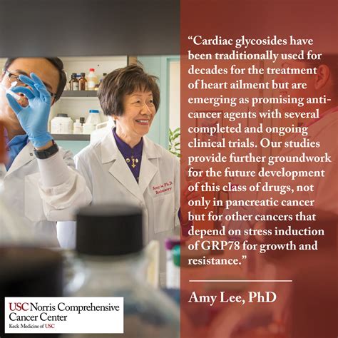 A New Function Of Cardiac Glycosides Keck School Of Medicine Of Usc